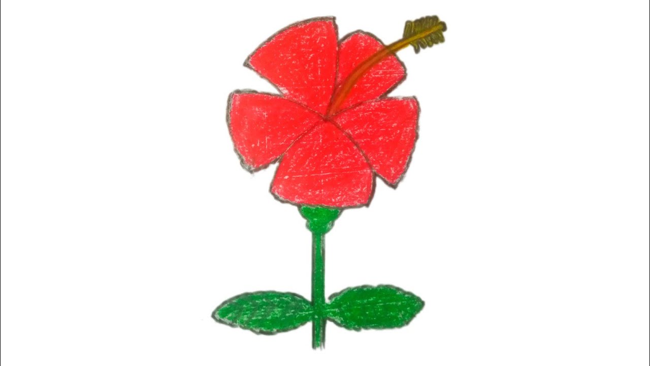 Hibiscus Flower Drawing ||How to draw a Hibiscus flower step by step||Art video