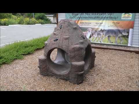 Outdoor Nature Trail at Camarillo Grove Park