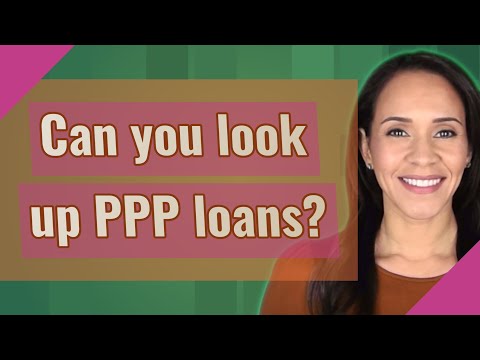 Can you look up PPP loans?