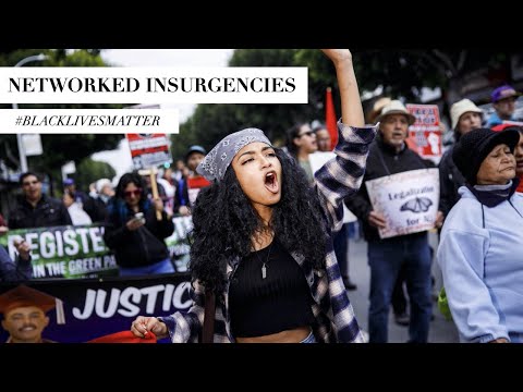 Networked Insurgencies: The Black Lives Matter Movement – Taylor Sumelj