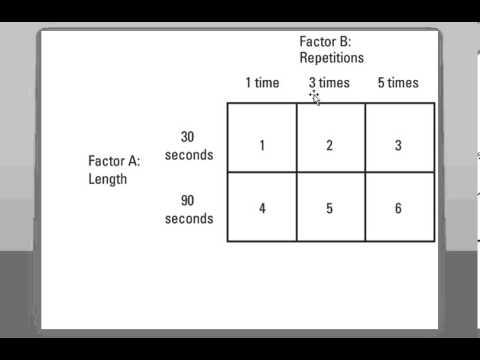 Factors and Levels