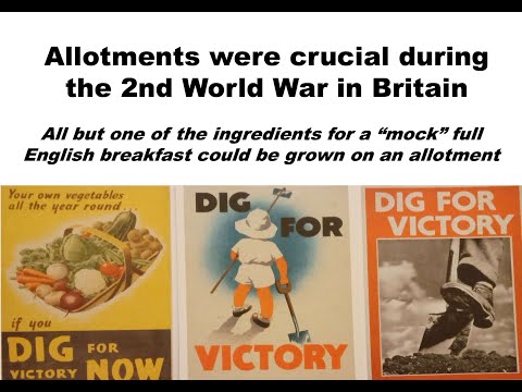 How to make a mock full English breakfast | Self-Sufficiency | Before ...