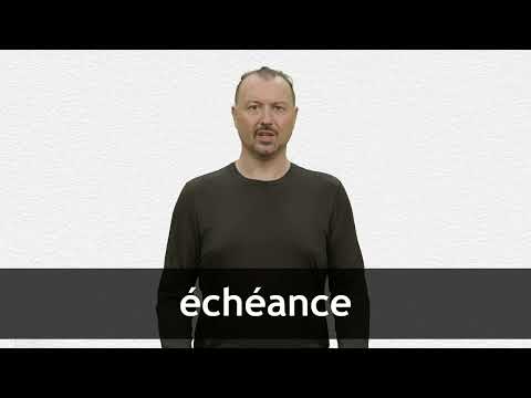 English Translation of “ÉCHÉANCE” | Collins French-English Dictionary