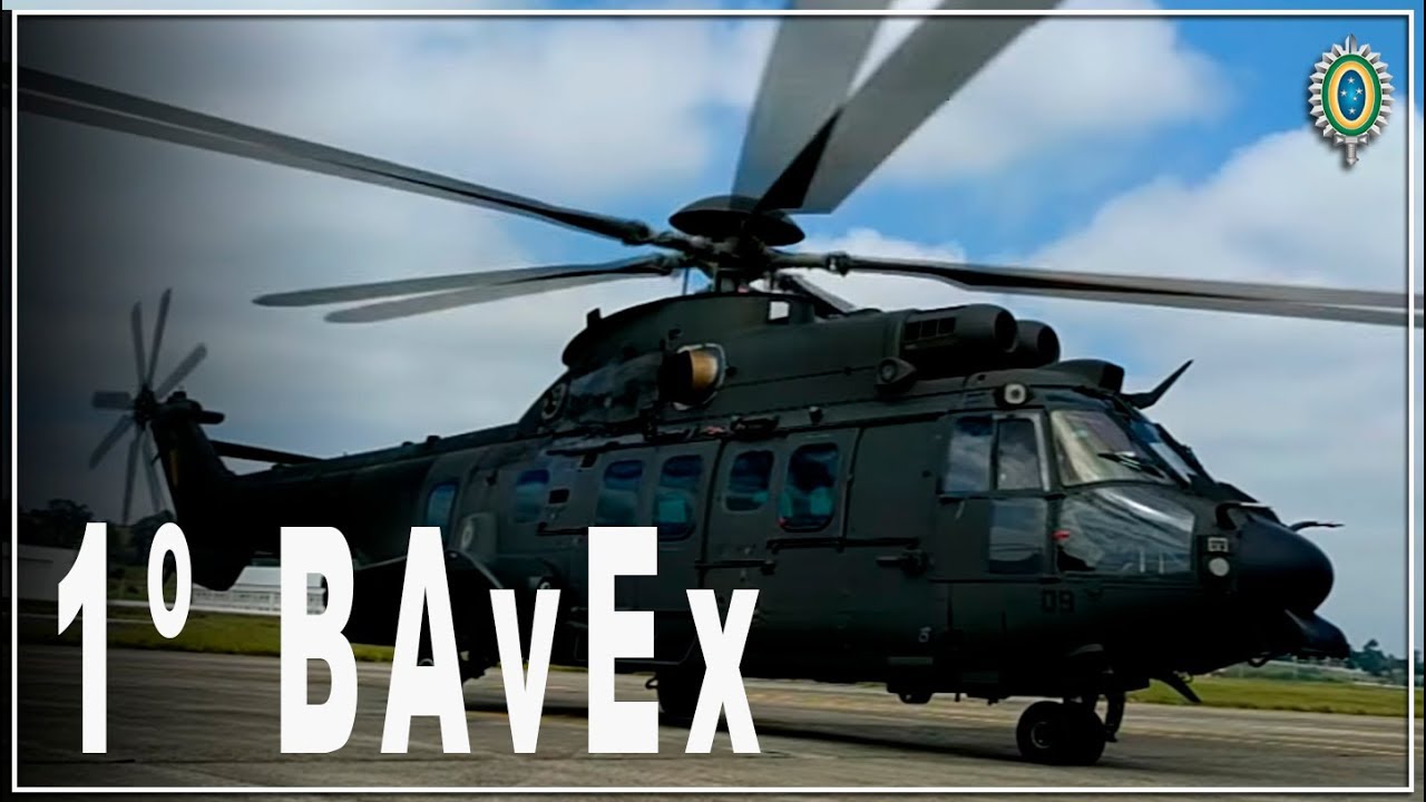 1º Batalhão de Aviação do Exército