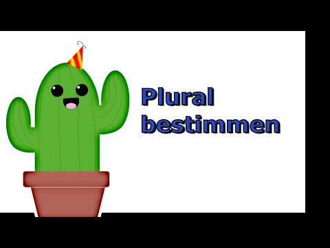 Der Numerus - Plural bilden