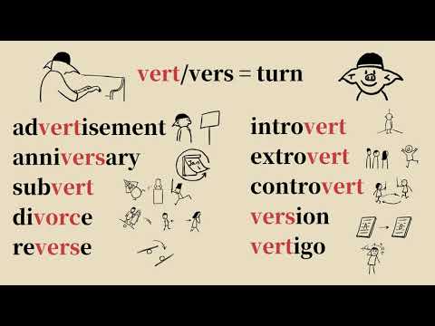 word root : vert