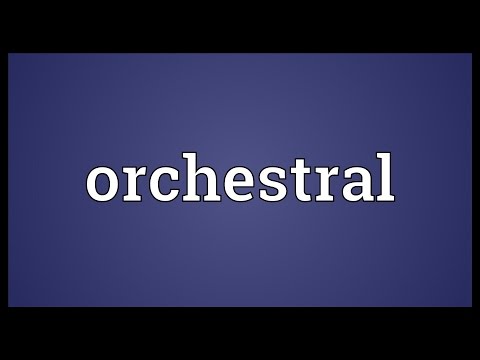 Orchestral Meaning