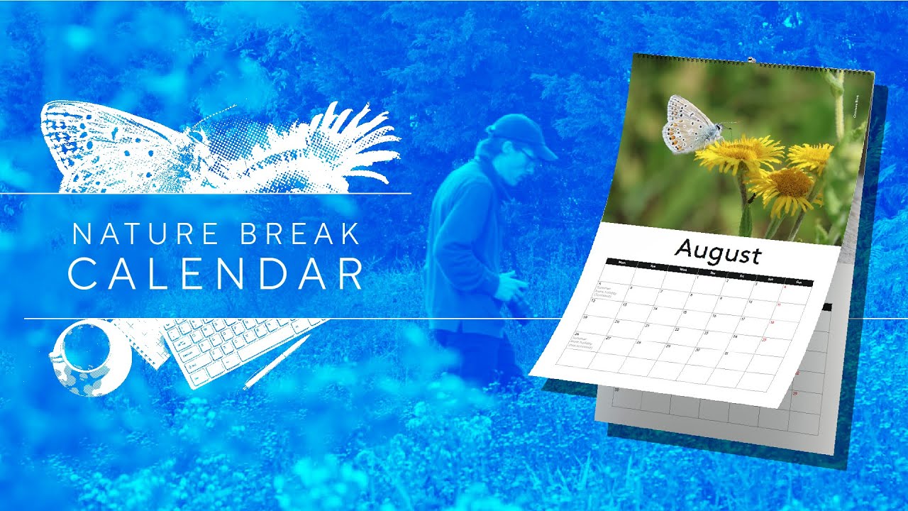 Turning Your Passion Into A 2024 Calendar