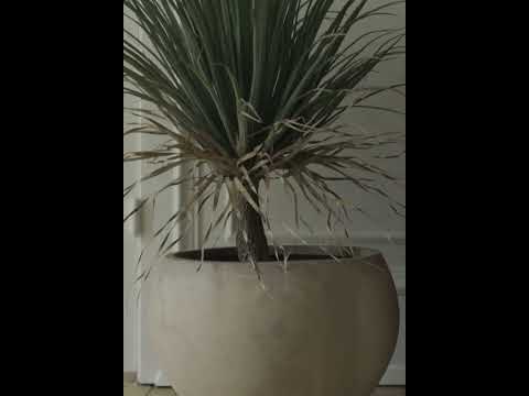 #afloral Designers' Favorite: Decorating with Artificial Magnolia & Palm Leaves
