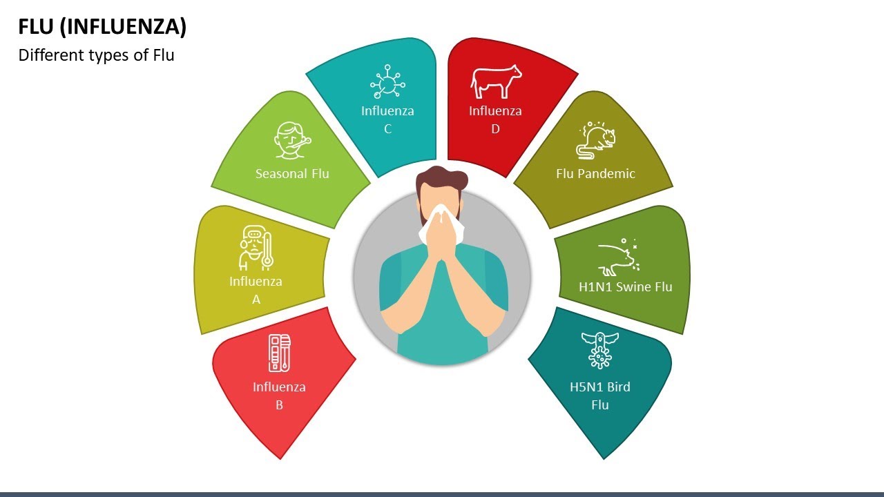 Flu (Influenza) Animated PowerPoint Template