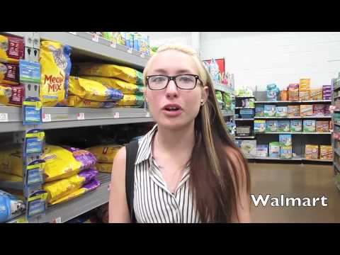 Paws in Need: Donating To Your Local Animal Shelter!