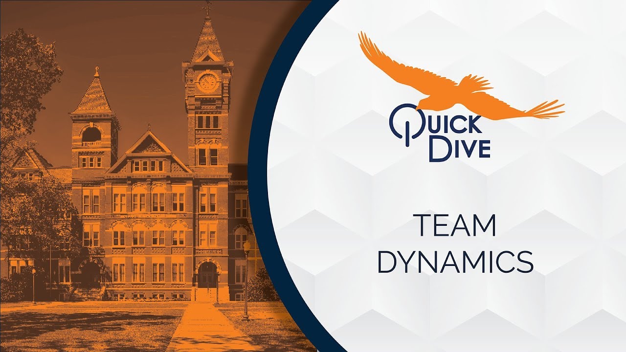 Team Dynamics