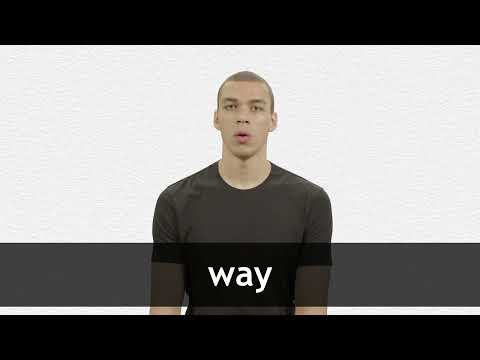 WAY definition in American English | Collins English Dictionary