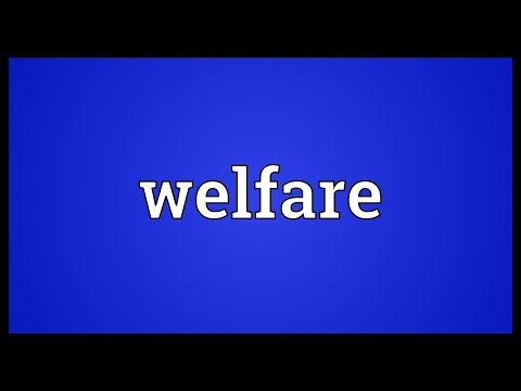 Welfare Meaning