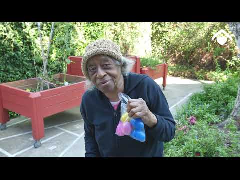 Deconstructing Dementia: The BakerRipley Dementia Day Center