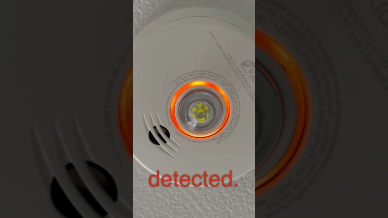 Smoke Alarm testing #shorts