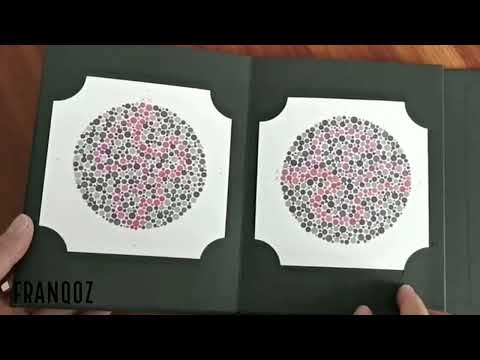 Ishihara Color Blindness Test Book 38 Plates Japan Printed 2020