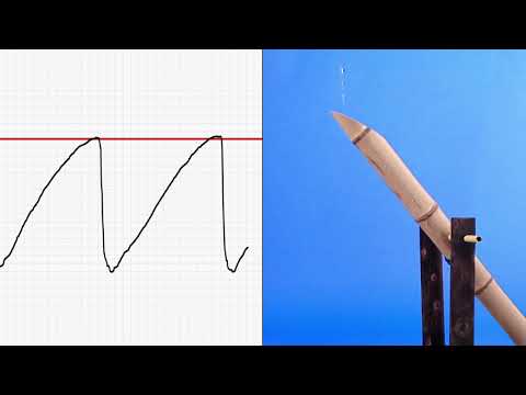 Philosophy behind pump and dumps | Cryptocurrency satire