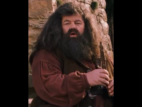 Harry Discovers Hagrid Was Tricked To Help Voldemort Get The Sorcerer's Stone