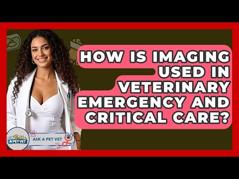 How Is Imaging Used In Veterinary Emergency And Critical Care? - Ask A Pet Vet