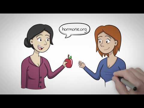 Understanding Hypoglycemia