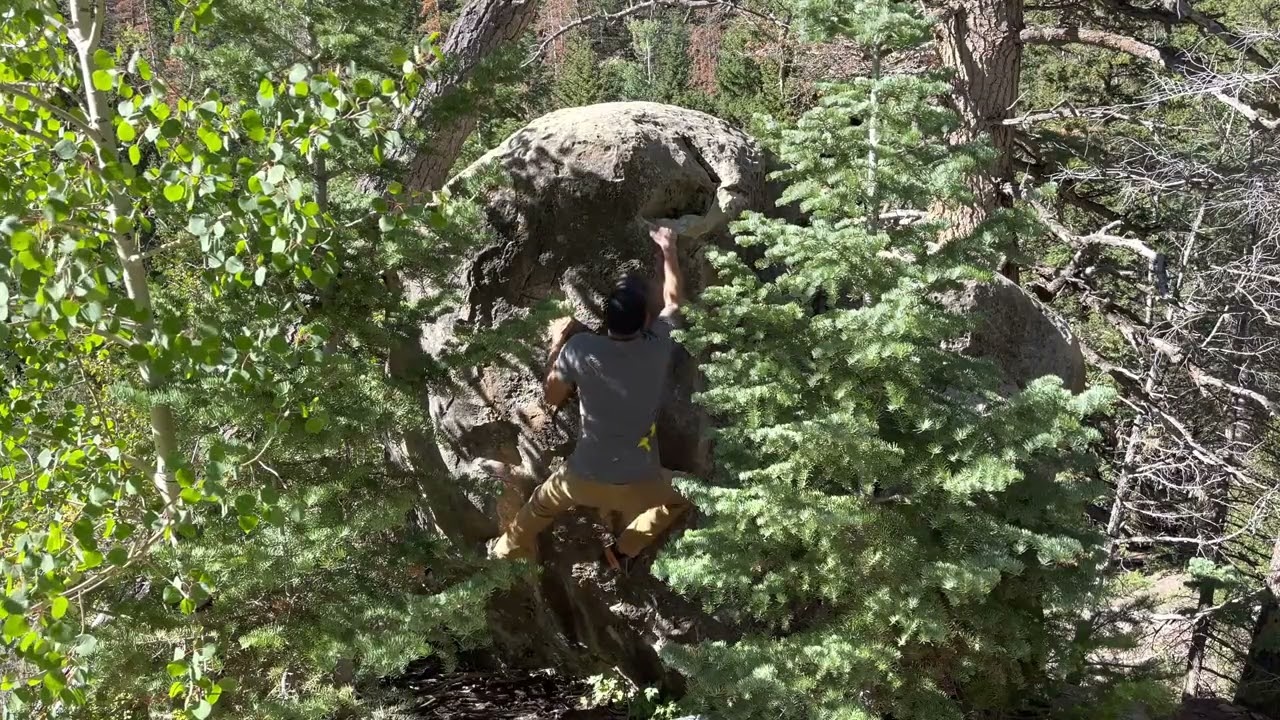 Spruce V1 Joe's Valley