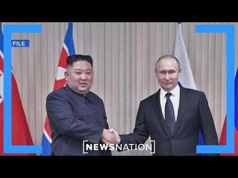Putin 'on the ropes' ahead of meeting with North Korean leader Kim Jong Un | NewsNation Now