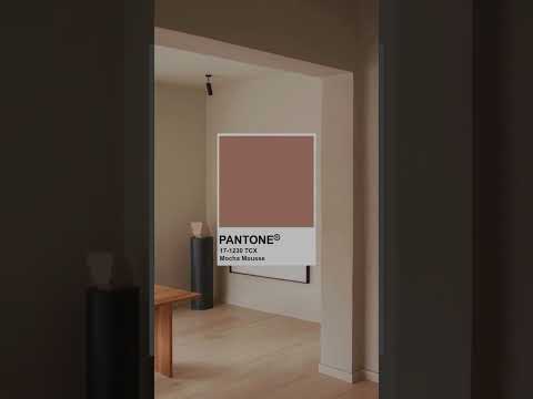 Pantone’s Color of the Year: Mocha Mousse 🤎