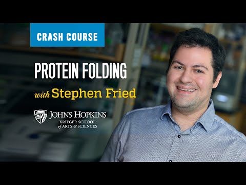 Protein Folding Crash Course with Johns Hopkins Chemistry Professor Stephen Fried