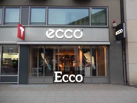How Does Ecco Look? | What is Ecco? | How to Say Ecco in English?