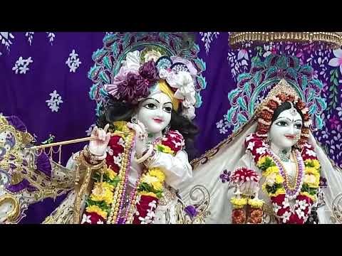 Divine Darshan of Sri Sri Radha Vrindavan-chandra on 7th December 2023