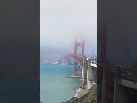 Karl the fog of Bay Area #shorts #creativity