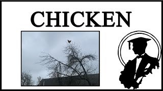 Screaming Chicken on a Tree - The Insane Creators Guild - Fimfiction
