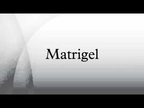 Matrigel