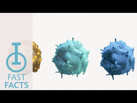 IOU YouTube: What are immune effector cells?
