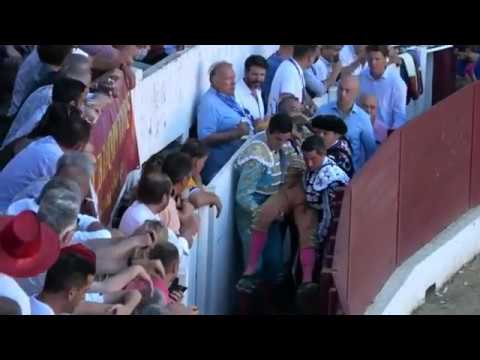 Matador Gored to Death by Bull in French Bullfighting Accident | Men’s ...