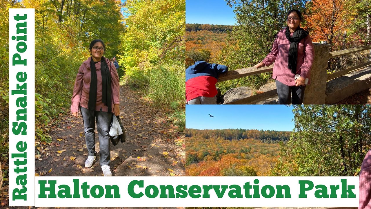 Rattlesnake Point Milton | Halton Conservation Park | Rattlesnake Point in Fall |Fall foliage Milton