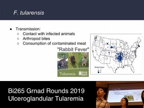 Grand Rounds Bi265 013019: Ulceroglandular Tularemia