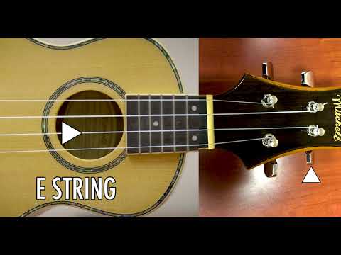 Easy UKE (Ukulele) TUNER VIDEO for Beginners! G C E A