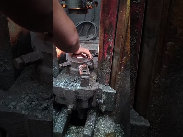 Forged Fittings - Forged Hex Nut Manufacturer from Rajkot