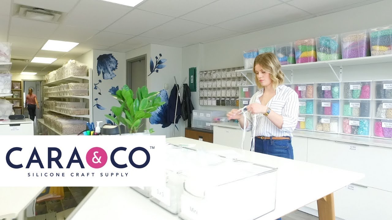 Introduction to Cara & Co.