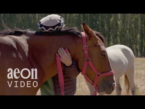 What horses teach us about power and communication | Herd of Two