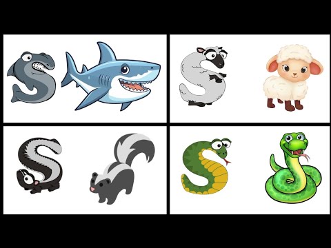 **"S for Species: 11 Fascinating Animals Beginning with the Letter S"