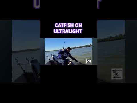 Channel cat on ultra light