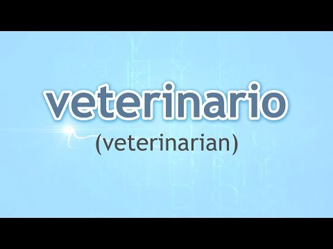 How to Pronounce Veterinarian (Veterinario) in Spanish