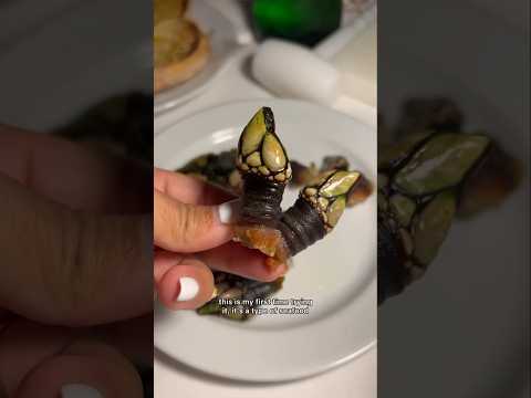 First time trying gooseneck barnacles (percebes)! #seafood