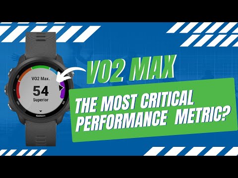 Is VO2max the Most Critical Marker of Running Performance?