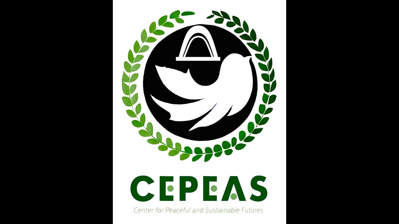 CEPEAS overview Urban climate action plans