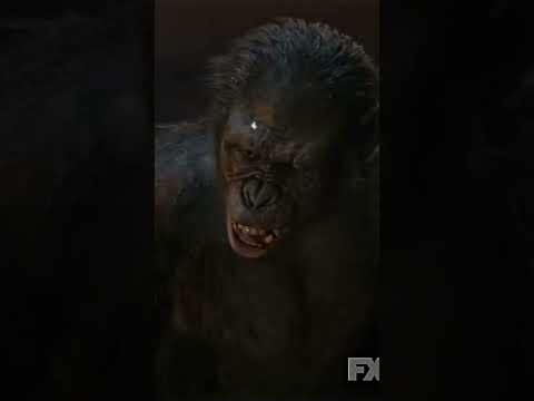 APES TOGETHER STRONG | Dawn of the planet of the apes 🙆🏽♂️ #shorts