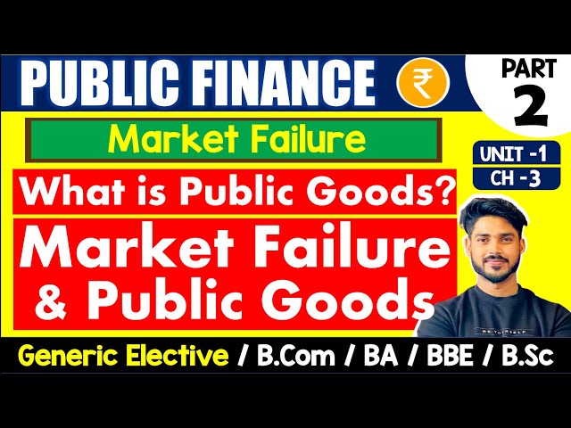 Understanding Public Goods and Market Failure | Galaxy.ai